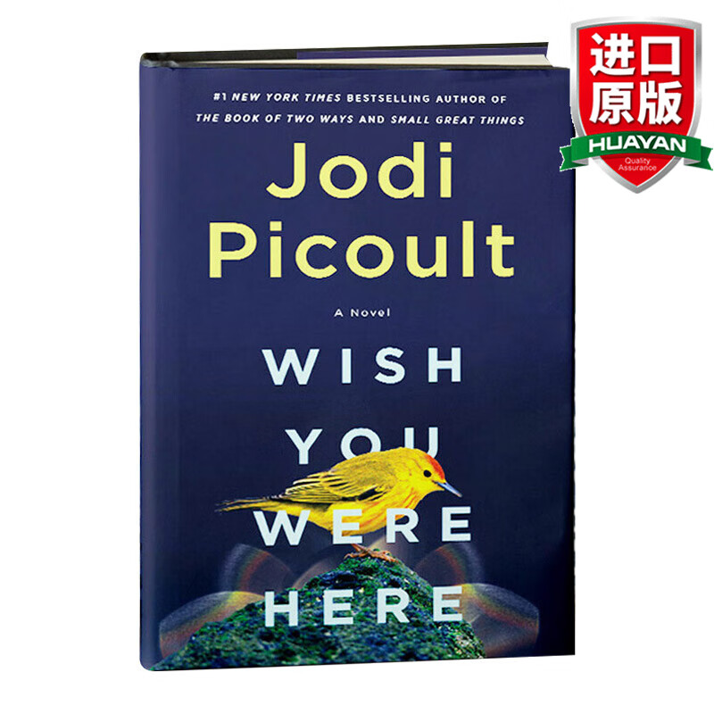 Wish You Were Here 英文原版小说 愿你在此 英文版 进口英语原版书籍