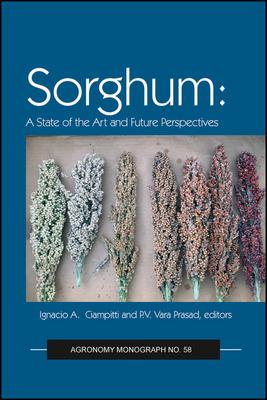 Sorghum: State of the Art and Future Perspective