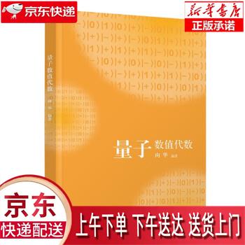 【新华畅销图书】量子数值代数 向华 清华大学出版社