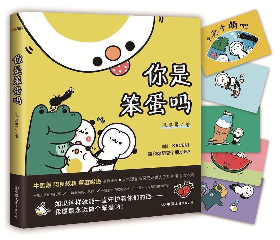 你是笨蛋吗 风岛君【书】