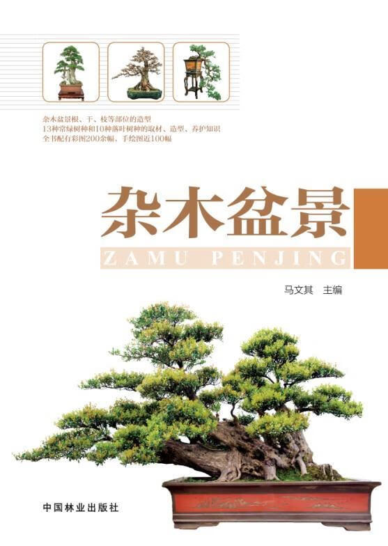 杂木盆景 马文其著【书】