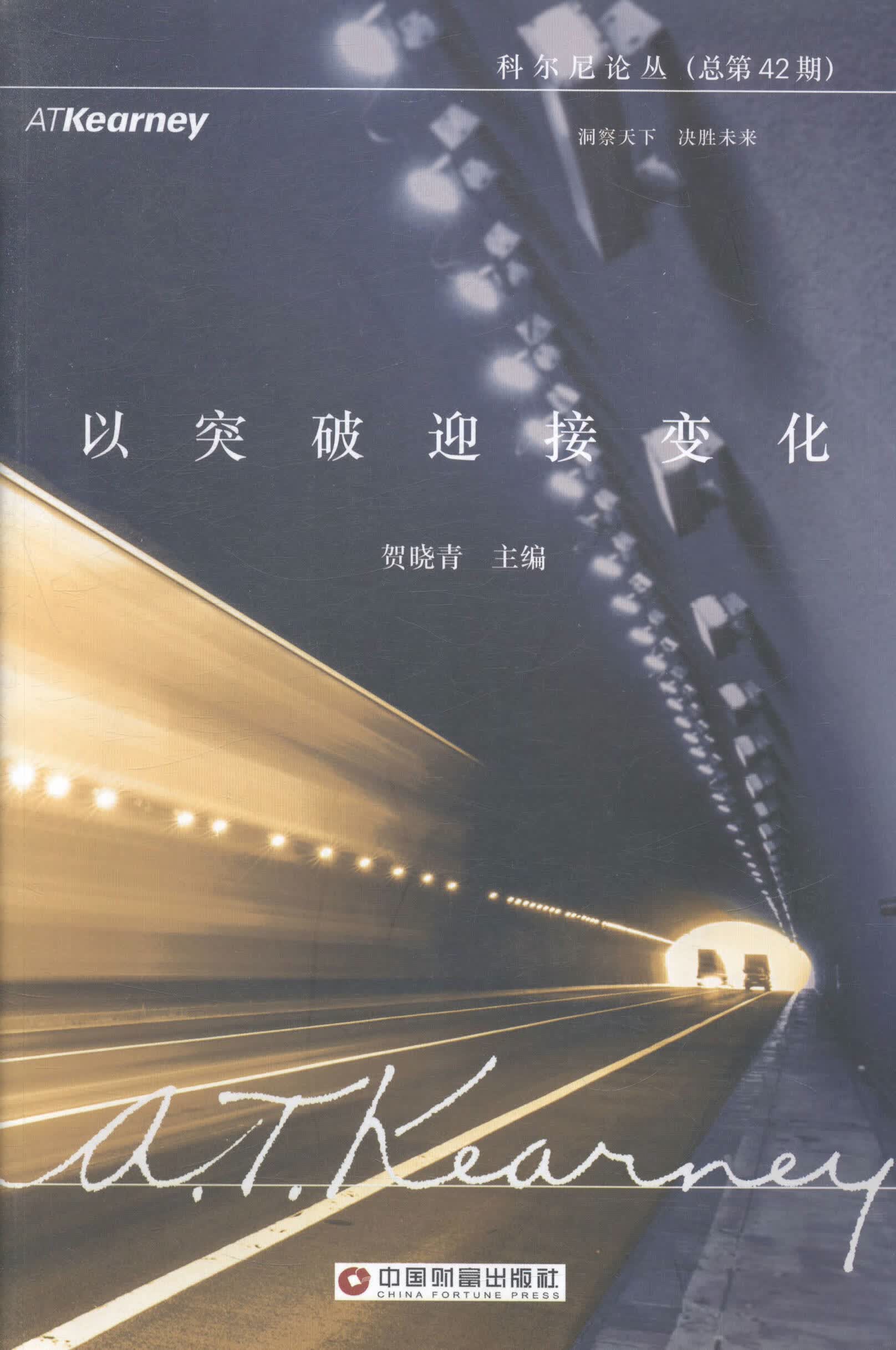 以突破迎接变化 经济 书籍