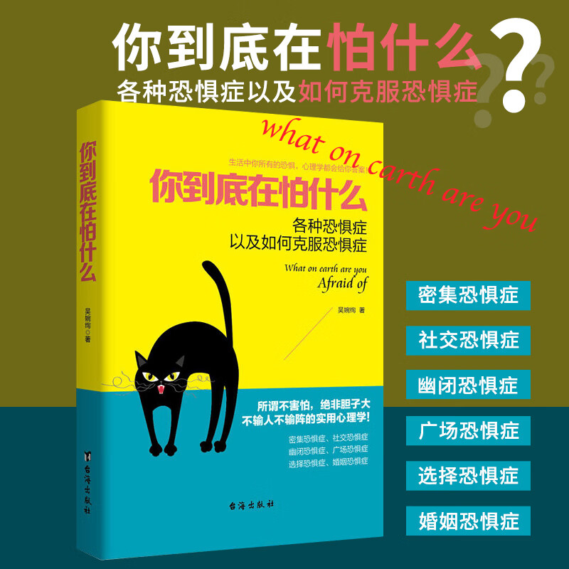 你到底在怕什么 吴婉绚著 社交恐惧症 如何克服心理恐惧 人际交往心理学 做自己的心理医生自控力一个