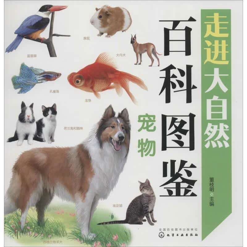 宠物 董枝明 主编