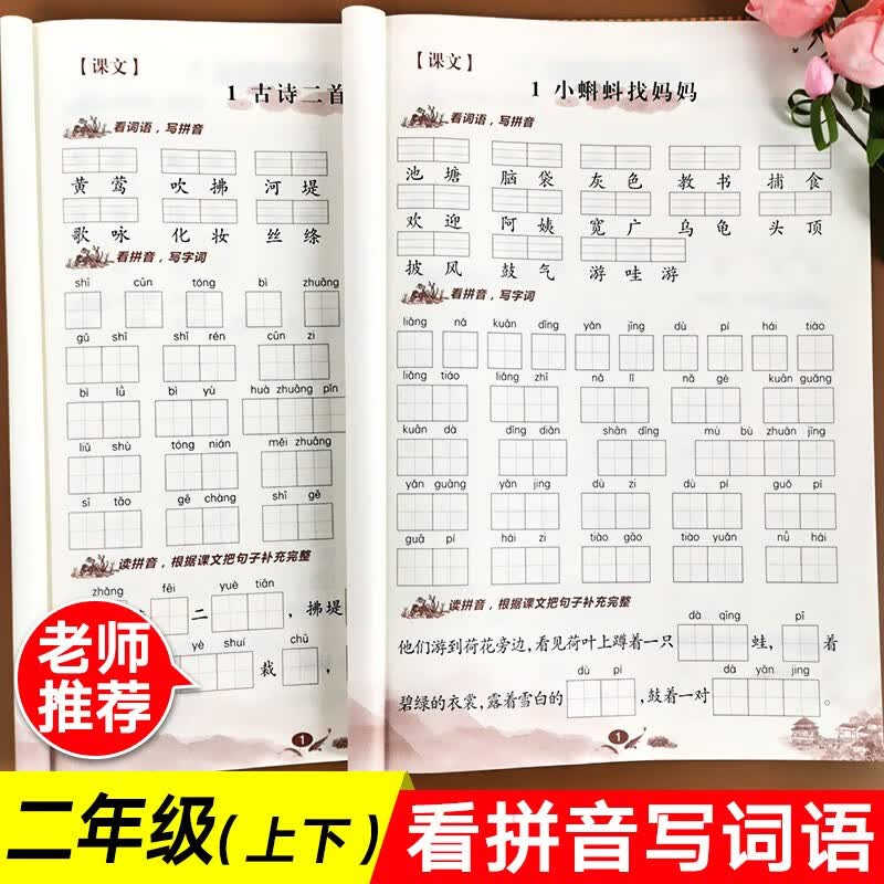 看拼音写词语二年级上册下册人教版语文专项训练练习题小学上生字注音练字组词同步练习册部编版小学生重点知识点集锦练习每日一练 【上册+下册】看拼音写词语学生字
