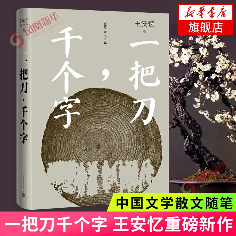 一把刀千个字 王安忆重磅新作 收获长篇小说榜长恨歌匿名天香王安忆长篇小说系列中国文学散文随笔现当代