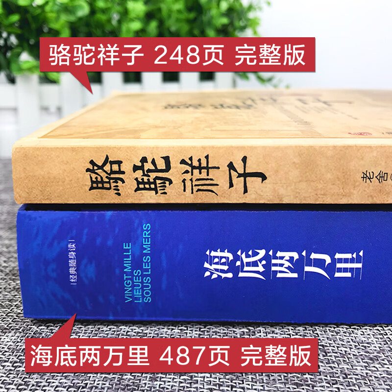 【七年级下册必读2册赠考点】骆驼祥子原著老舍海底两万里初中版人教版初中生课外阅读书