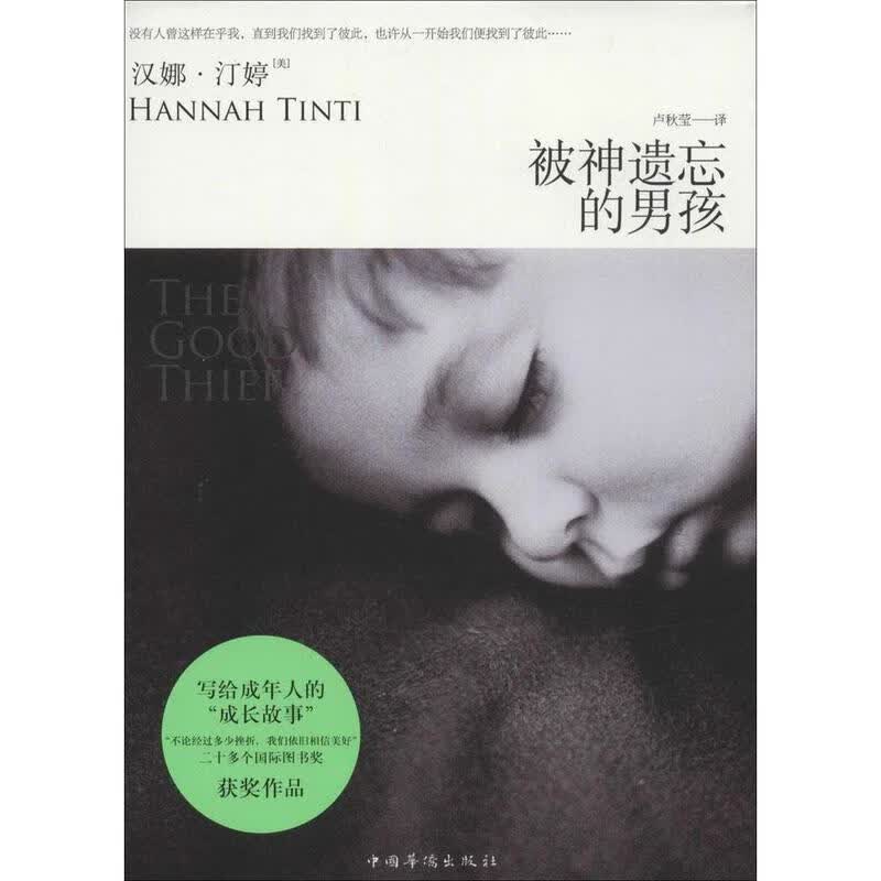 被神遗忘的男孩 ［美］汉娜•汀婷 著,卢秋莹 译