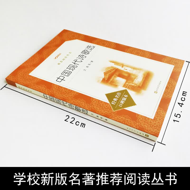 中国现代诗歌选诗集 现代诗歌选人民文学现代诗歌精选诗歌集中学生语文自主阅读名著课外推荐中国