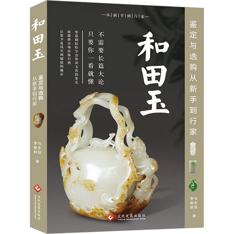 和田玉鉴定与选购从新手到行家 图书