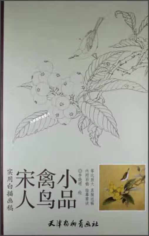 实用白搭画稿：宋人禽鸟小品 李晓明 天津杨柳青画社 9787554700853