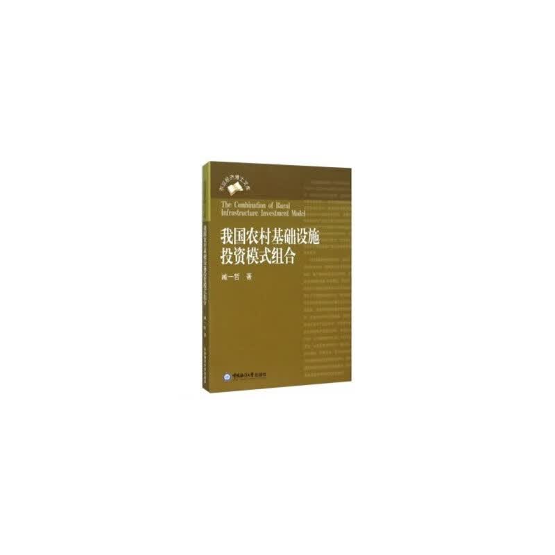 我国农村基础设施投资模式组合
