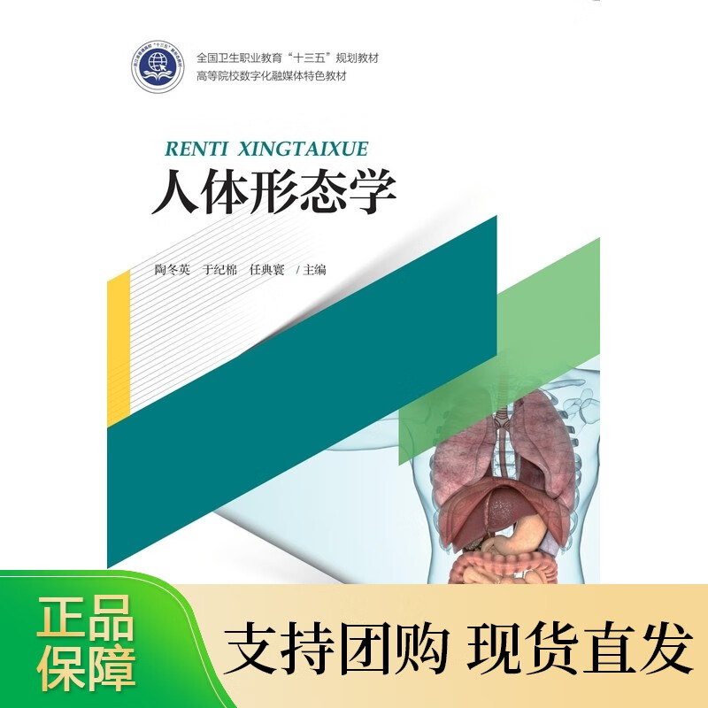 人体形态学陶冬英