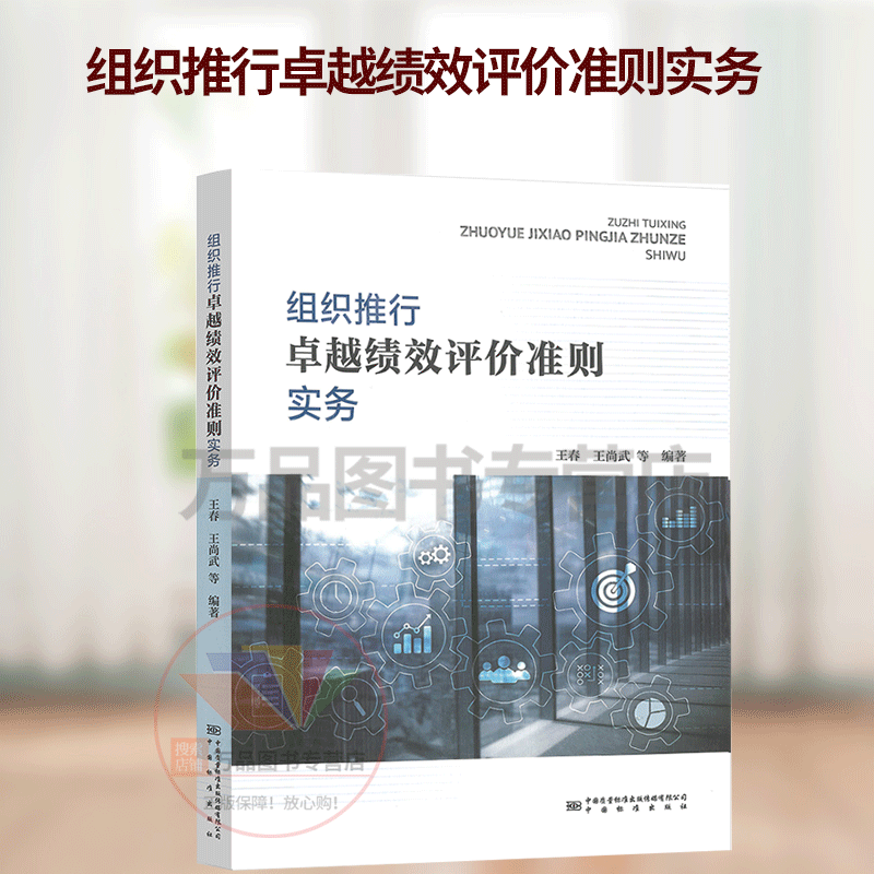 2022新书 组织推行卓越绩效评价准则实务 中国标准出版社 9787502648992