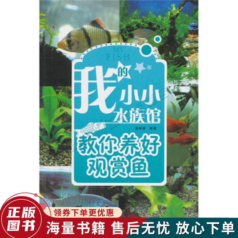 我的小小水族馆：教你养好观赏鱼