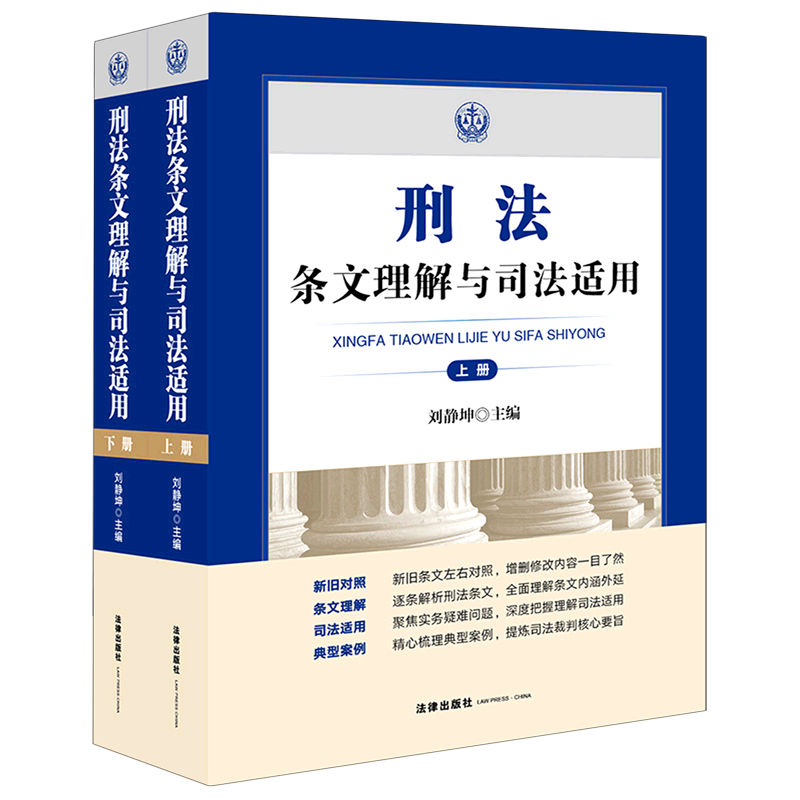 刑法条文理解与司法适用(上下)