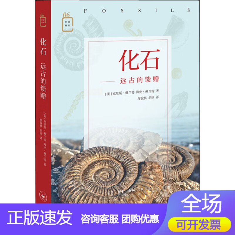 n化石——远古的馈赠