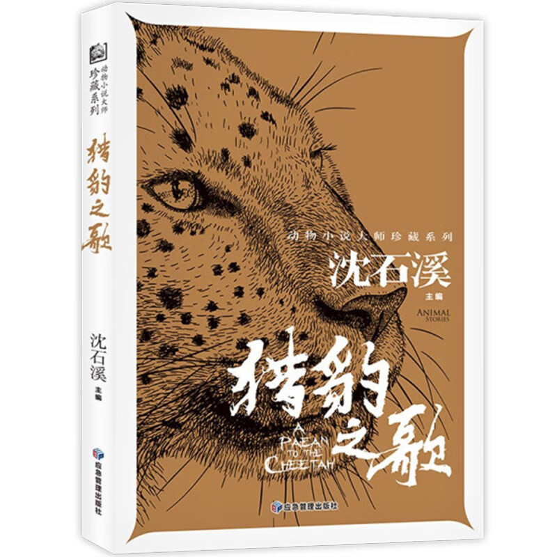 新华狼王梦沈石溪动物小说全套完整版四年级五年级全集浙江少年儿童 猎豹之歌