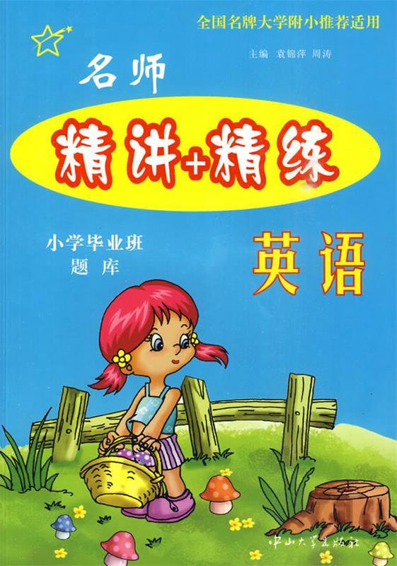 名师精讲+精练：英语 袁锦萍,周涛 主编【书】