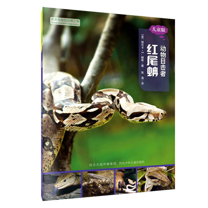 动物目击者 红尾蚺【特惠】