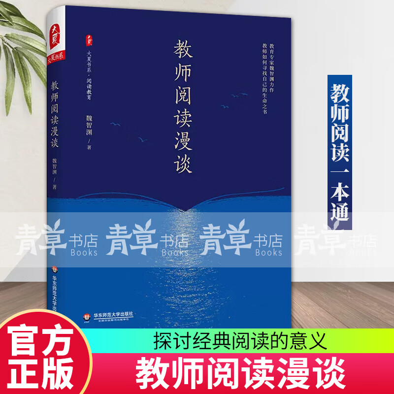 教师阅读漫谈 大夏书系 阅读教育 魏智渊 教师阅读一本通 华东师范大学出版社