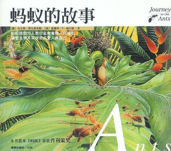 蚂蚁的故事【，放心购买】