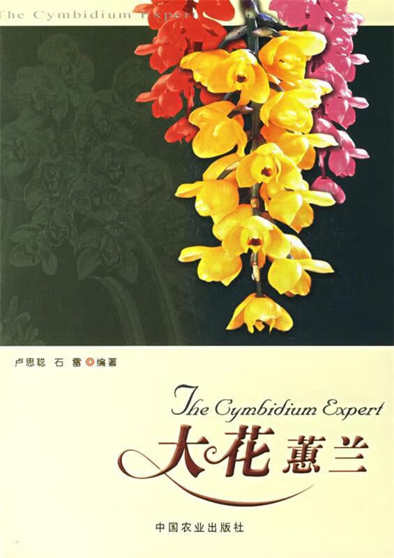 大花蕙兰 卢思脱,石雷著