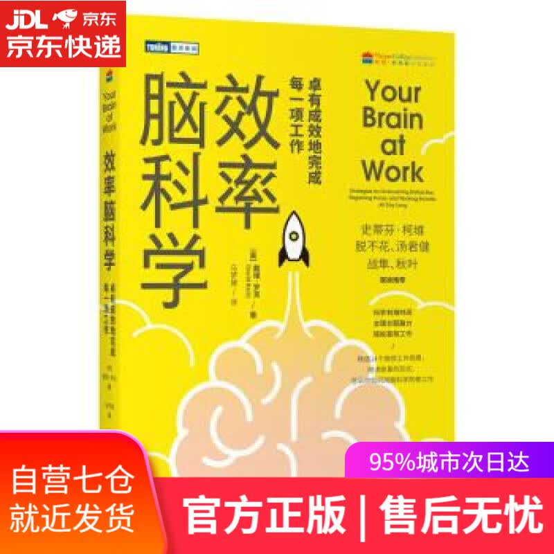 效率脑科学 卓有成效地完成每一项工作（图灵出品） [美]戴维·罗克（DavidRock）著,马梦捷
