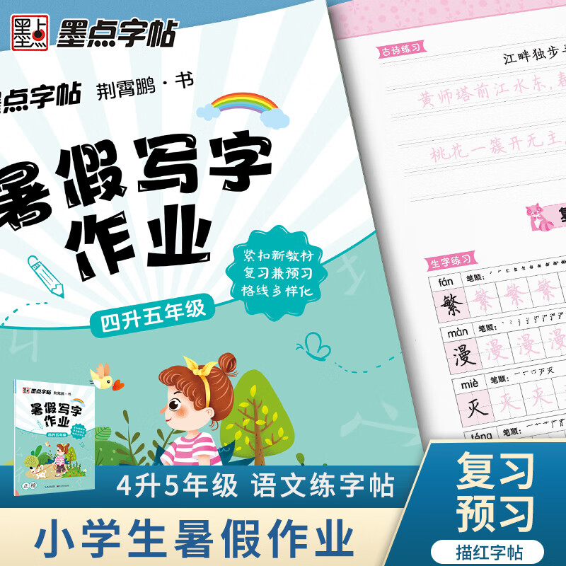 字帖正楷小学一年级下册升二年级上册三升四升五六暑假衔接教材一升二升三练字帖同步写字作业本天天练书法复 暑假写字作业【4升5】