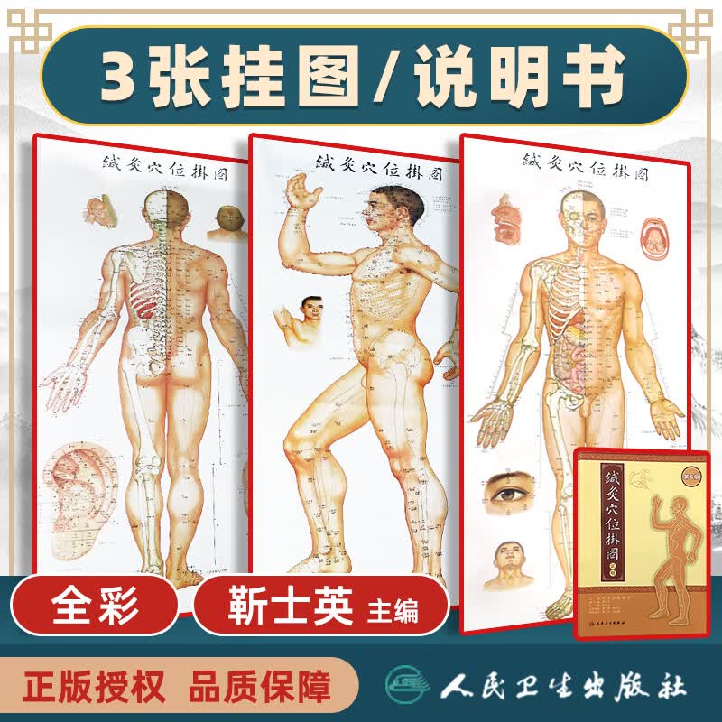1m.5m3张 针灸穴位挂图全彩彩图版 正面侧面背面三张全开本耳穴足穴 靳士英人体穴位中医学经络腧穴学书籍人