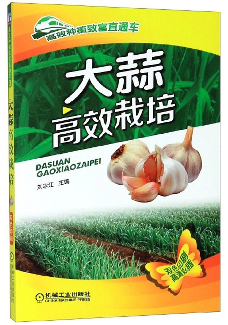 大蒜高效栽培（双色印刷）/高效种植致富直通车