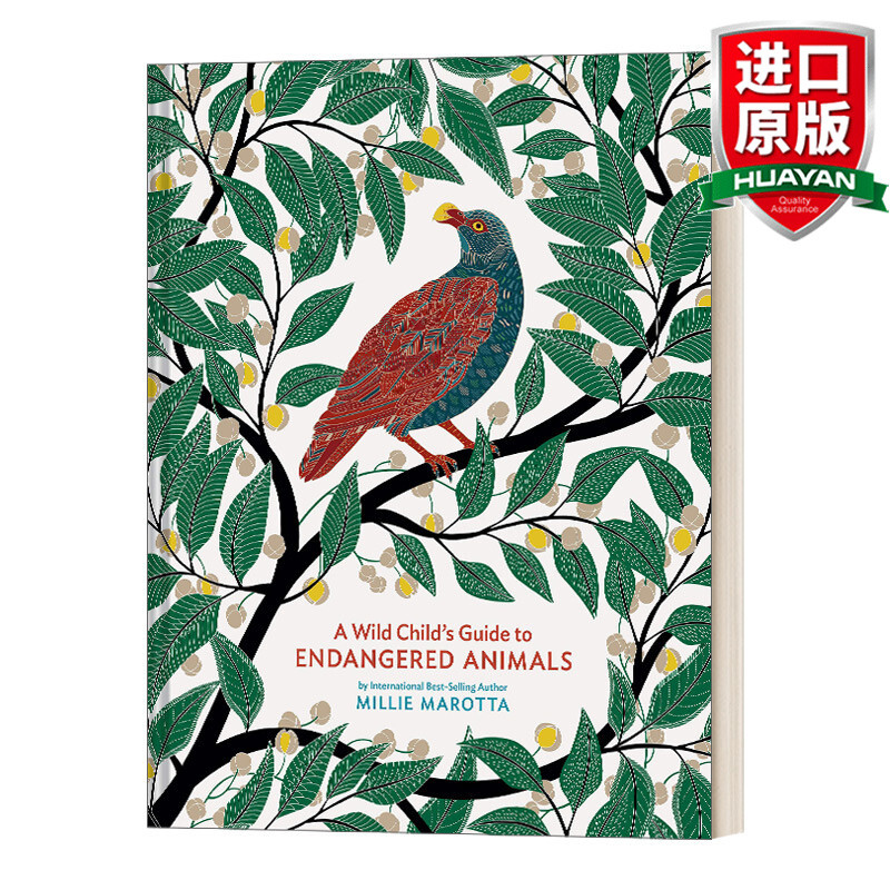 A Wild Child's Guide to Endangered Animals 英文原版 濒临灭绝的动物 精装绘画版 英文版 进口英语原版书籍