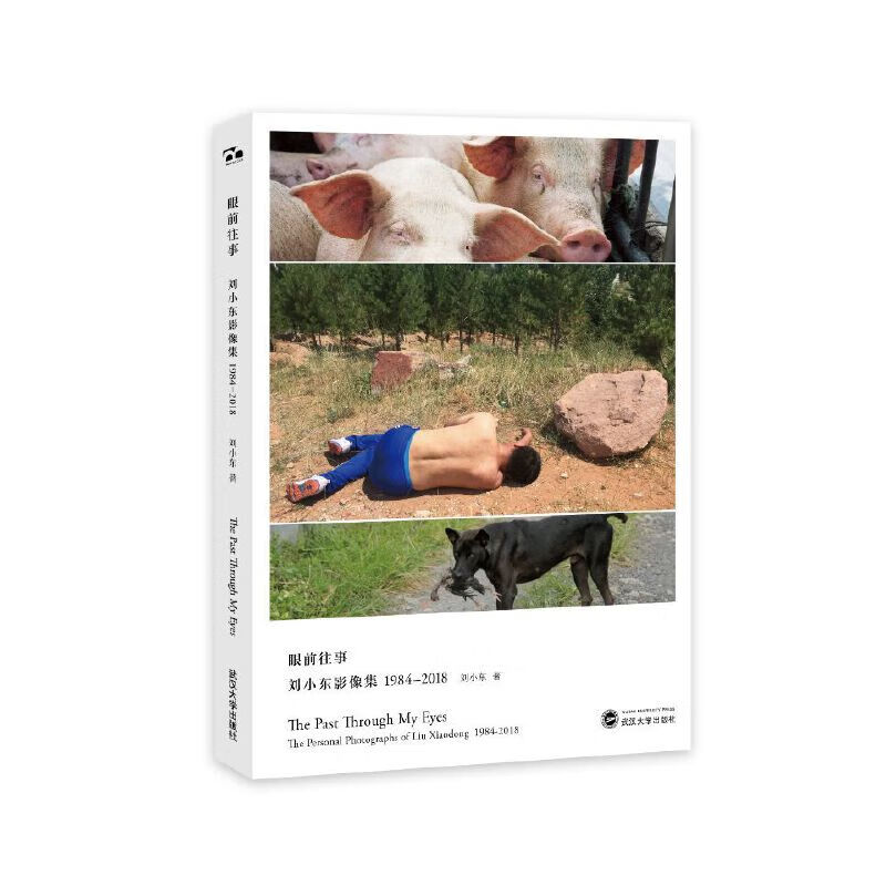 眼前往事：刘小东影像集1984—2018