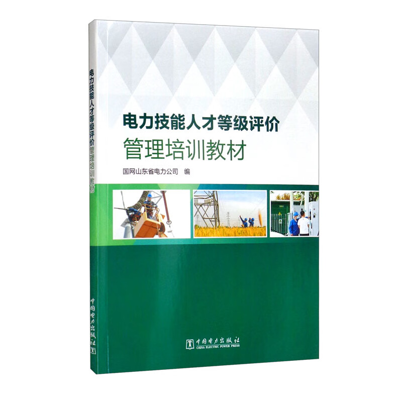 电力技能人才等级评价管理培训教材