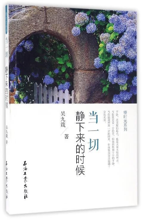 当一切 静下来的时候 吴九箴 著