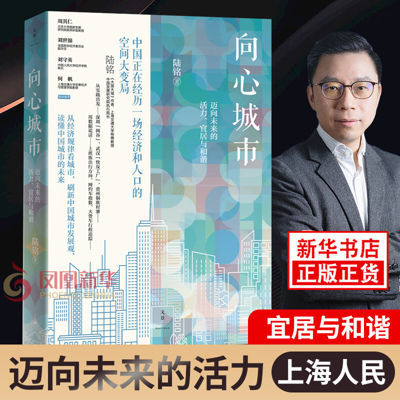 向心城市迈向未来的活力宜居与和谐大国大城陆铭著经济书籍中国经济中国经济史书籍【凤凰旗舰店