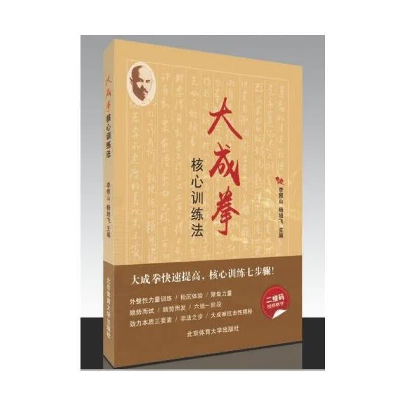 大成拳核心法