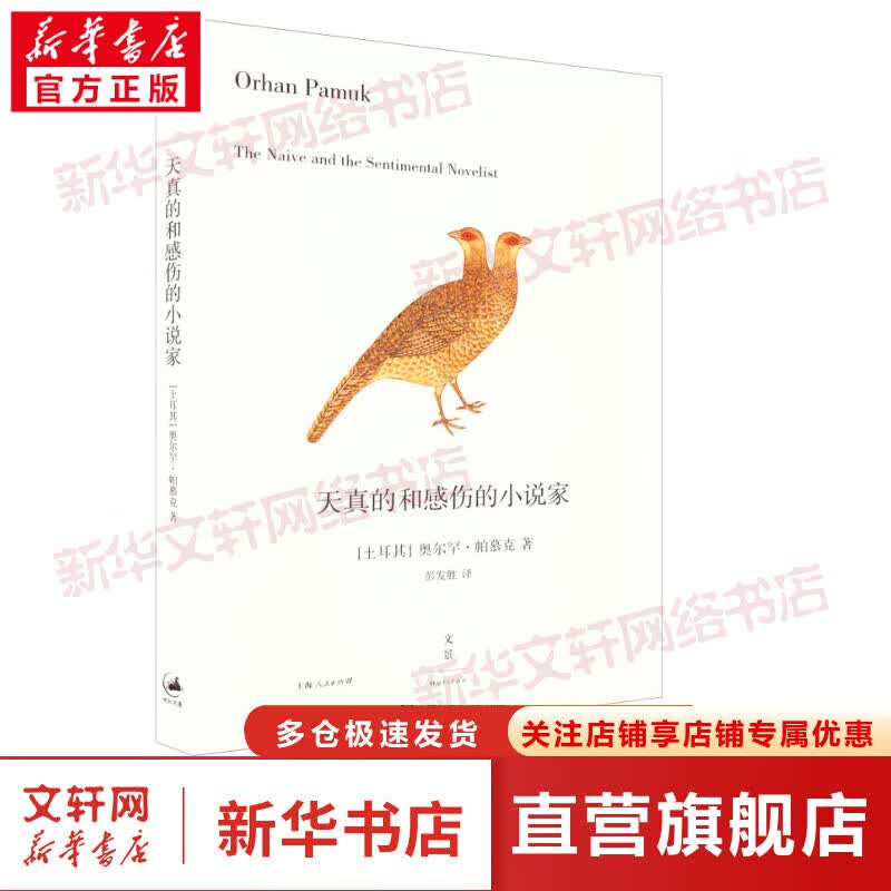 天真的和感伤的小说家 图书