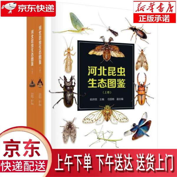 【新华畅销图书】河北昆虫生态图鉴 邸济民 科学出版社