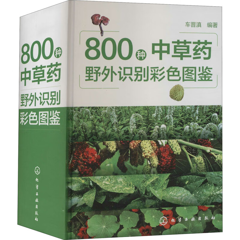 800种中草药野外识别彩色图鉴