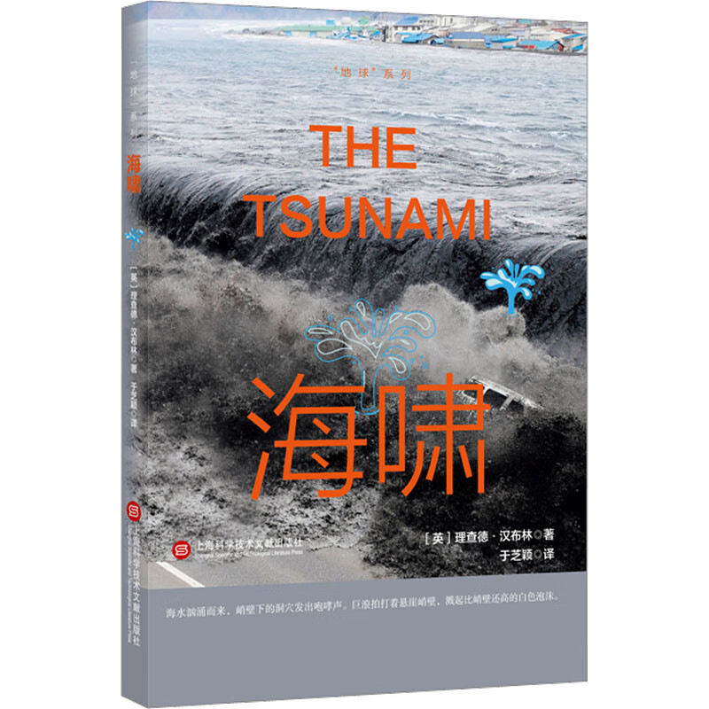 海啸 图书