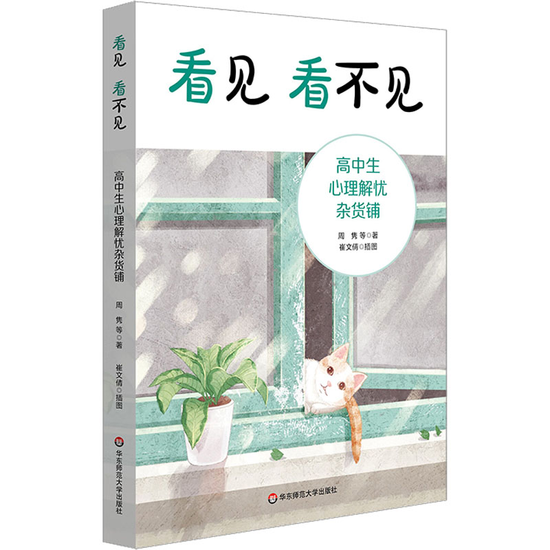 看见 看不见 高中生心理解忧杂货铺 图书