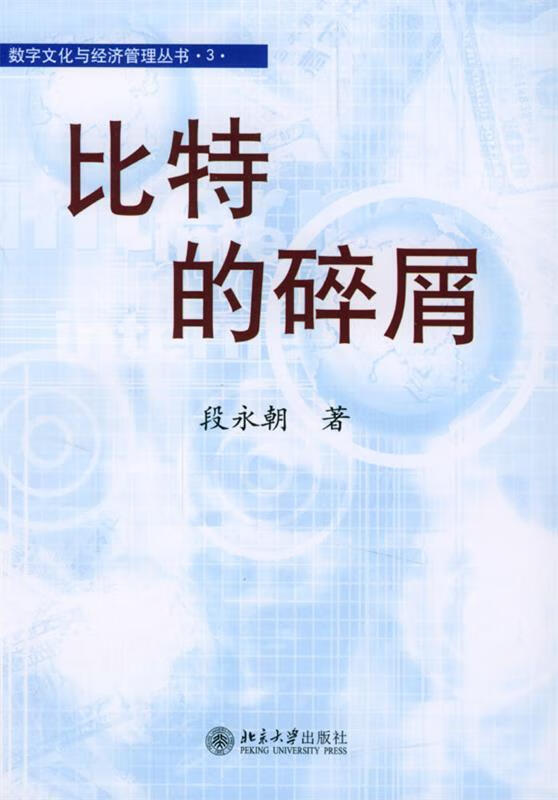 比特的碎屑 段永朝 著
