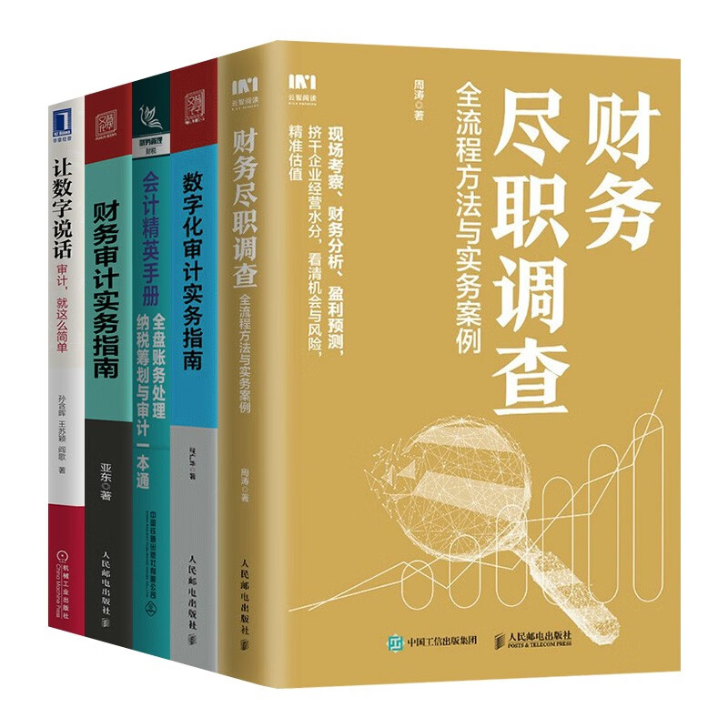 财务尽职调查+数字化审计实务指南+会计精英手册+财务审计实务指南+让数字说话（五册）