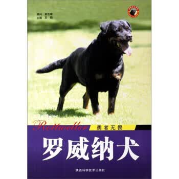 勇者无畏:罗威纳犬【，放心购买】
