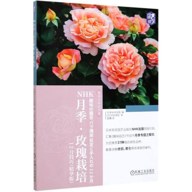 NHK月季玫瑰栽培12月技巧(精华版)/栽培大师说