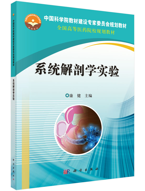 系统解剖学实验