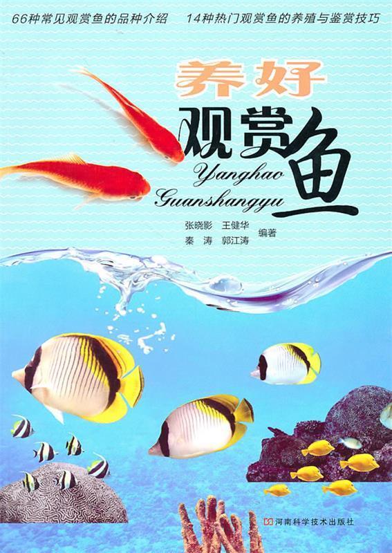 养好观赏鱼【，放心购买】