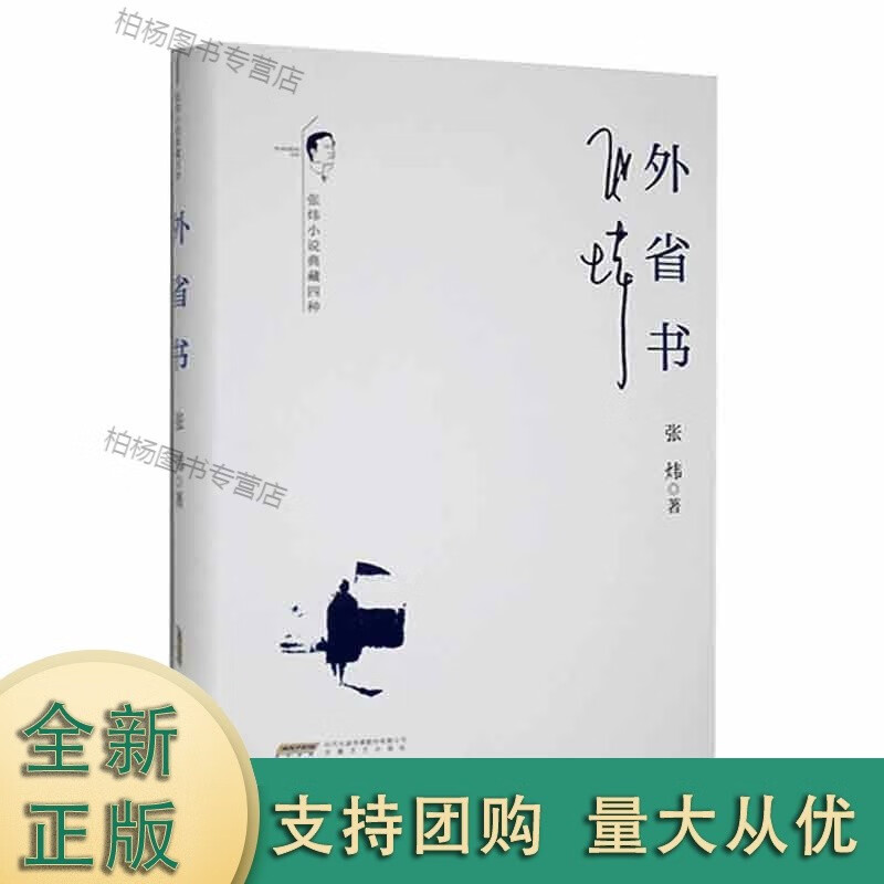 外省书张炜著小说安徽文艺