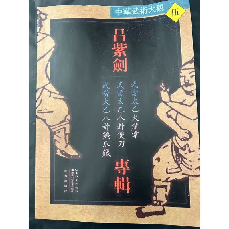中华武术 吕紫剑专辑 武当太乙火龙掌 武当太极 经典功法武学书
